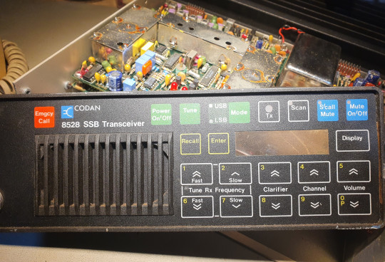 Recently Added Listings